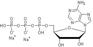 腺苷5'-三磷酸二钠盐n水|Adenosine 5'-triphosphate disodium salt n-hydrate|51963-61-2|参数，分子结构式，图谱信息 – 物竞